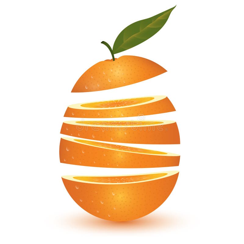 Mango in Slices. Vector Illustration Decorative Design Stock Vector ...