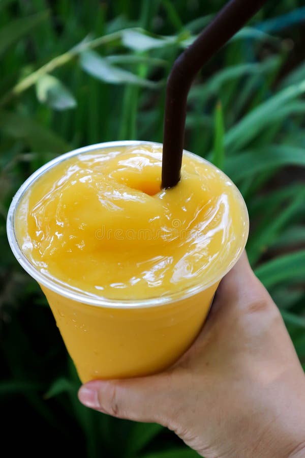 Mango Smoothie or Mango Yogurt Smoothie , Blended Mango Stock Image ...