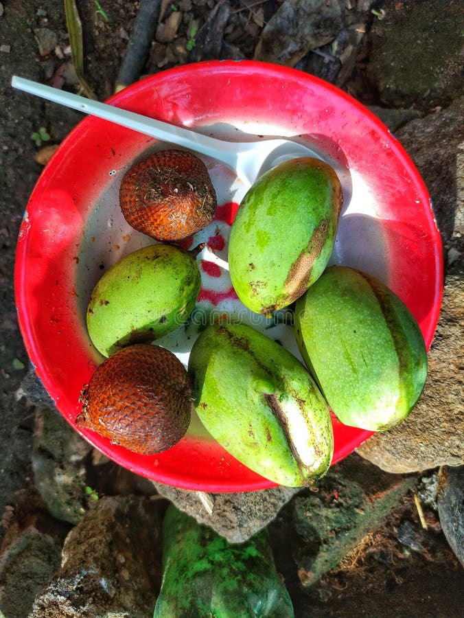 Mango and Snake Fruits in a Plate Stock Image - Image of snake, green ...