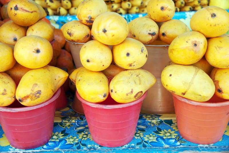 Mango stock photo. Image of ripe, healthy, market, food - 31373972