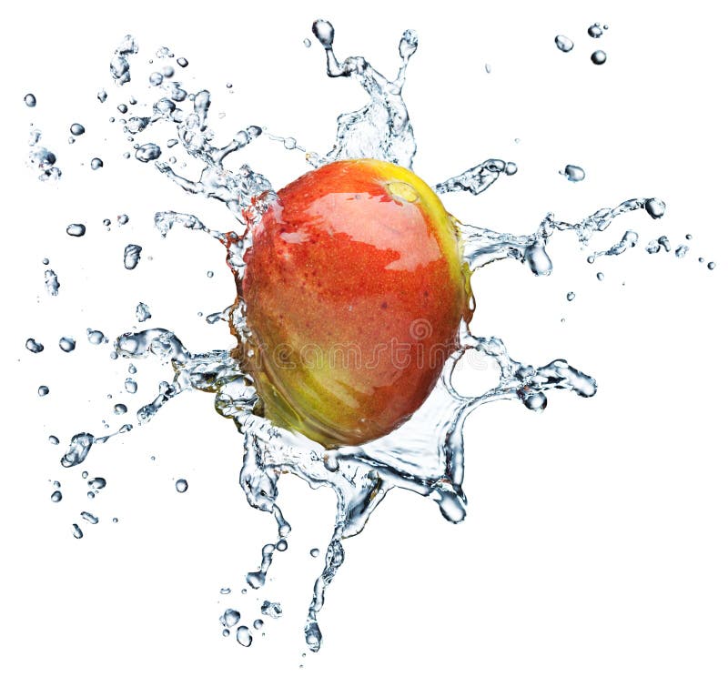 Mango splashing in water stock photo. Image of closeup - 15529744
