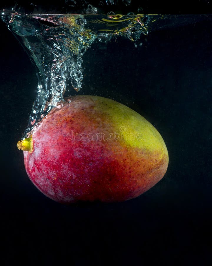 Mango splashing in water stock photo. Image of closeup - 15529744