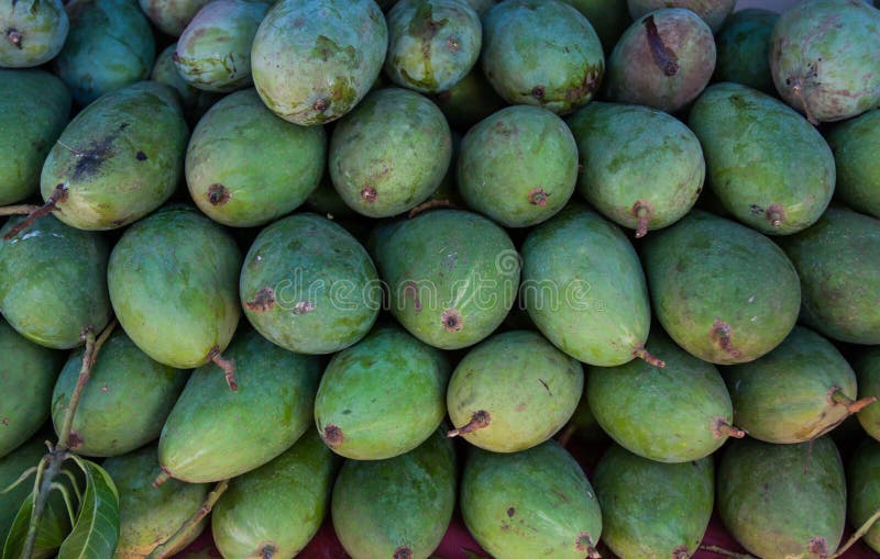 Mango stack on the market. stock photo. Image of sweet - 50134488