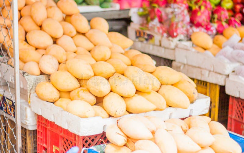 Mango stall stock image. Image of thai, asian, fresh - 31736205
