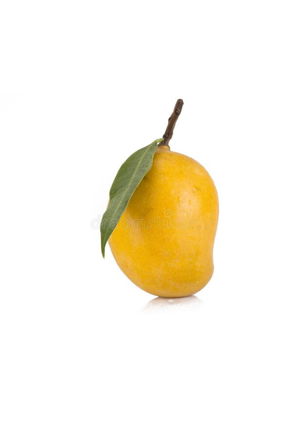 Mango with Stem and Leaf on White Background Stock Image - Image of ...
