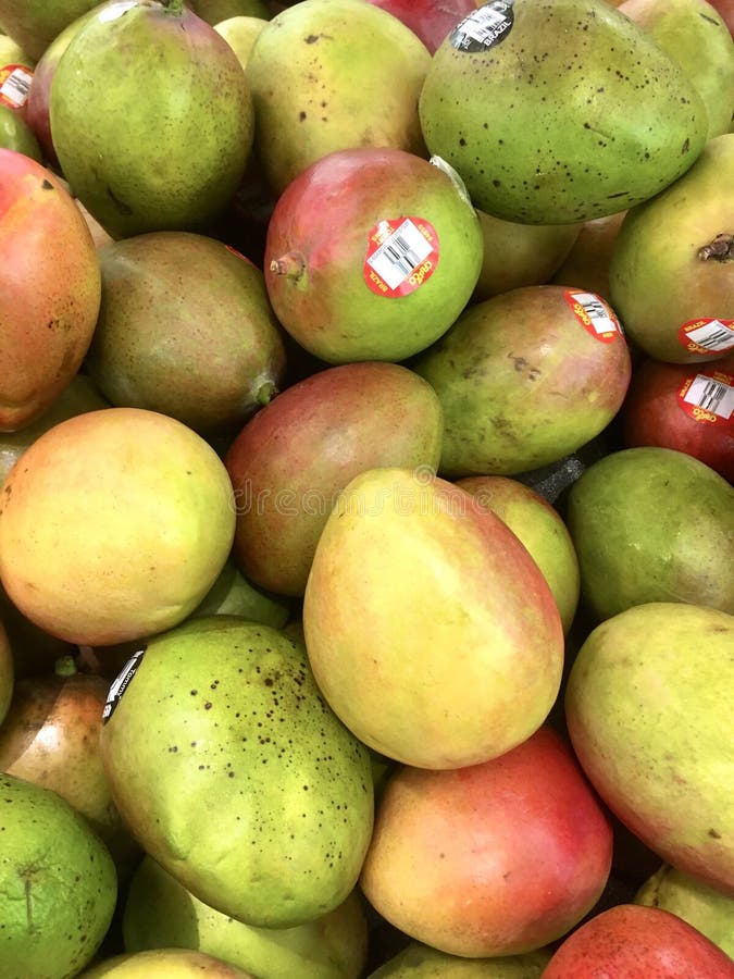 Mango in supermarket editorial photography. Image of leaf - 162095157
