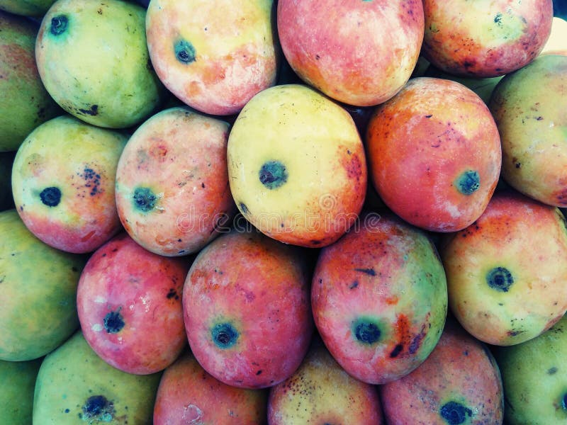 Mango stock image. Image of pink, mangoes, colorful - 117539697