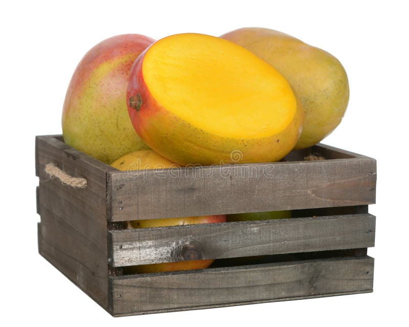 Mango stock image. Image of ripe, tropical, fruit, isolated - 108180013