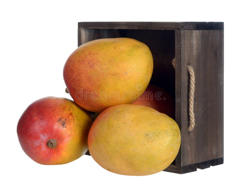 Mango stock image. Image of ripe, tropical, wooden, juicy - 108183451