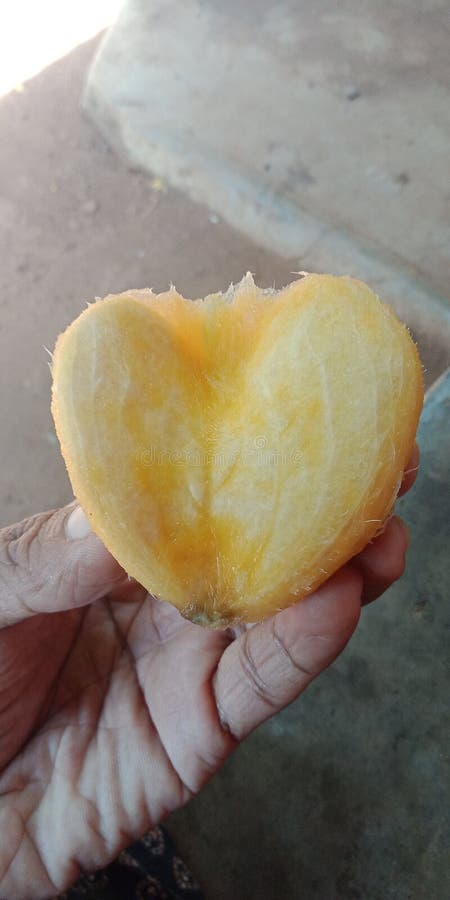 Mango sweet heart stock photo. Image of mango, love - 183493776