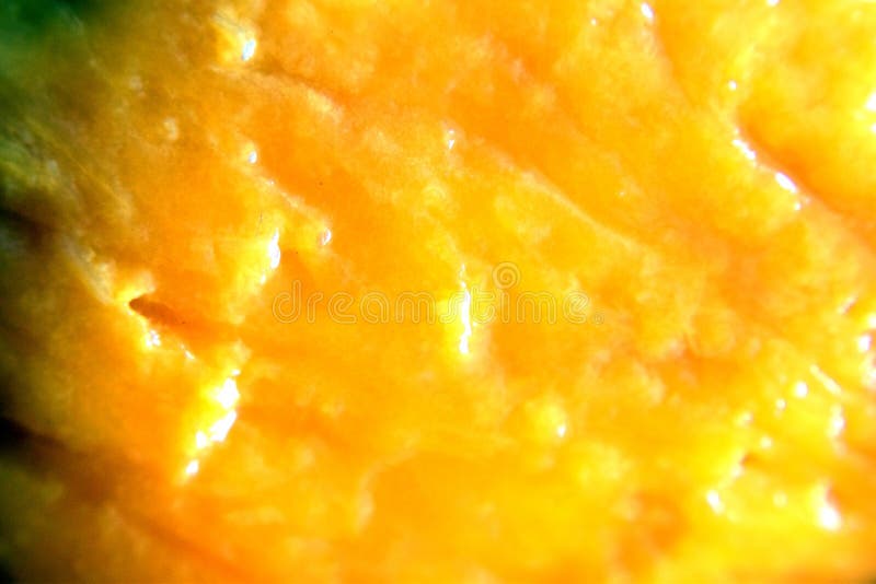Mango texture stock image. Image of background, extreme - 137068161