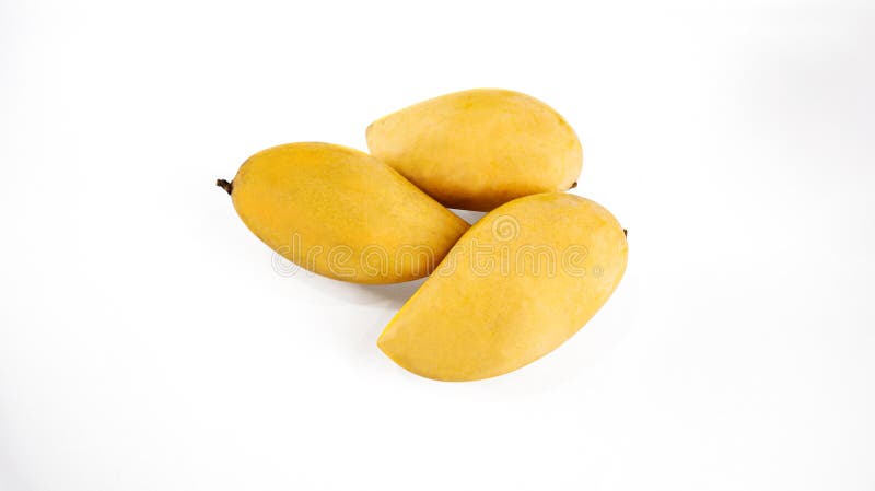 Mango Thai Nam Dok Mai Mango Show in Three Lay Down Yellow Mangoes ...