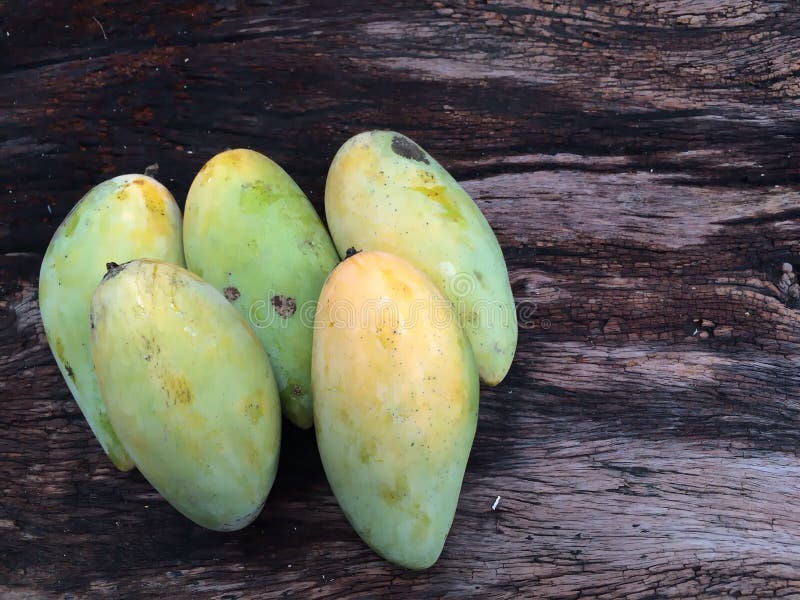 Mango stock image. Image of thailand, mangoes, mango - 53628135