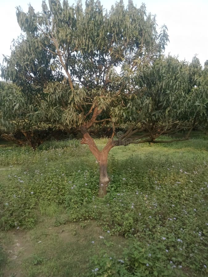 Seenri Stock Photos - Free & Royalty-Free Stock Photos from Dreamstime