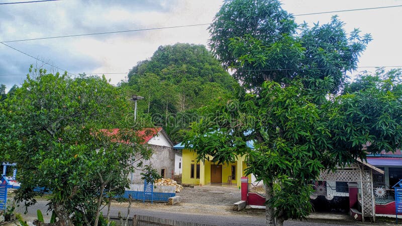 Mango Tree, Landscape, Yard, Mountain, Sky Stock Image - Image of yard ...