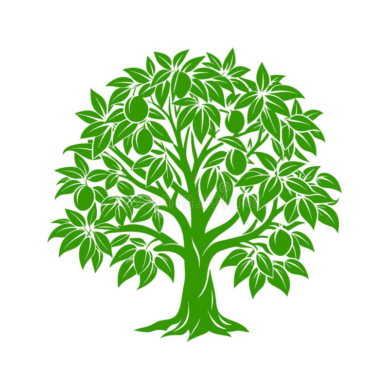 A Mango Tree Silhouette in Green Stock Vector - Illustration of outline ...