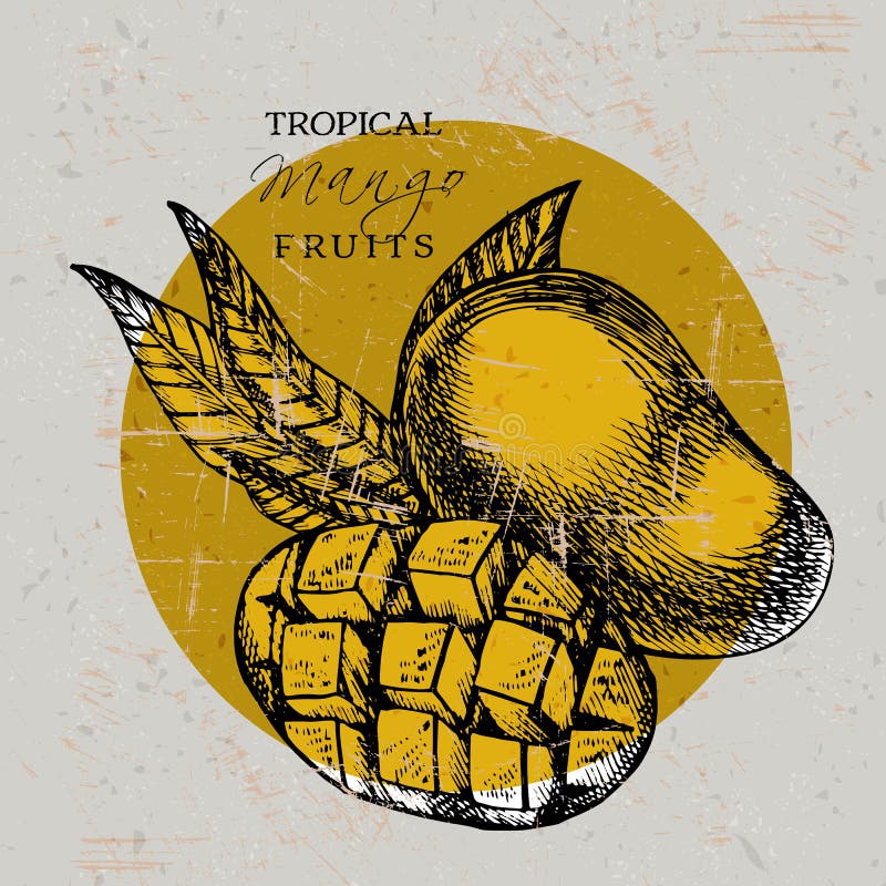 Mango Tree Vintage Design Template. Botanical Mango Fruit Frame ...