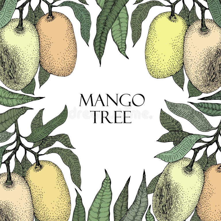 Mango Design Stock Illustrations – 33,191 Mango Design Stock ...