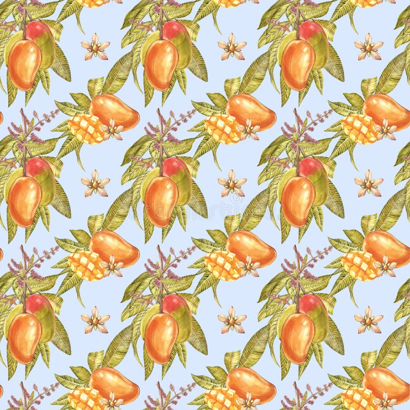 Mango Tree Vintage Design Template. Botanical Mango Fruit. Engraved ...