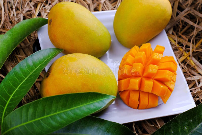 Mango Tropical Fruit with Green Leaf, Ripe Mango in Grass Closeup Stock ...