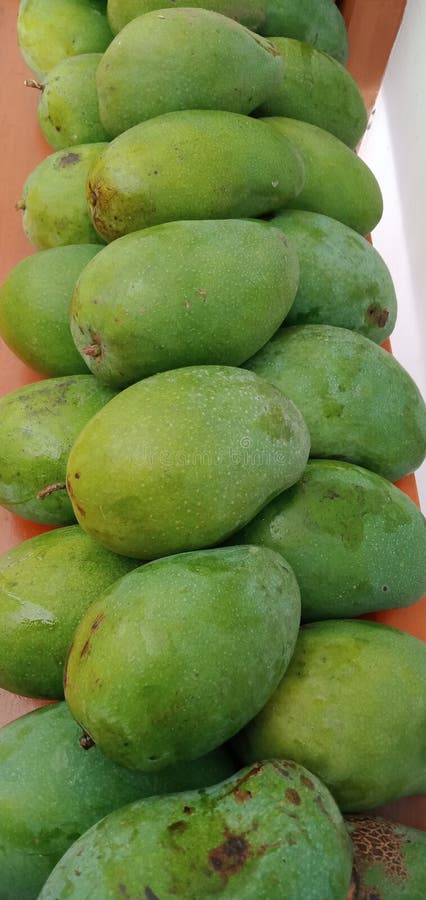 Mango is a Tropical Fruit from Indonesia Stock Photo - Image of salad ...