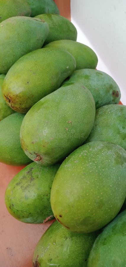 Mango is a Tropical Fruit from Indonesia Stock Image - Image of leaf ...