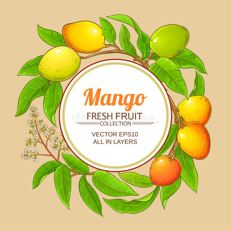 Mango Frame Stock Illustrations – 1,350 Mango Frame Stock Illustrations ...