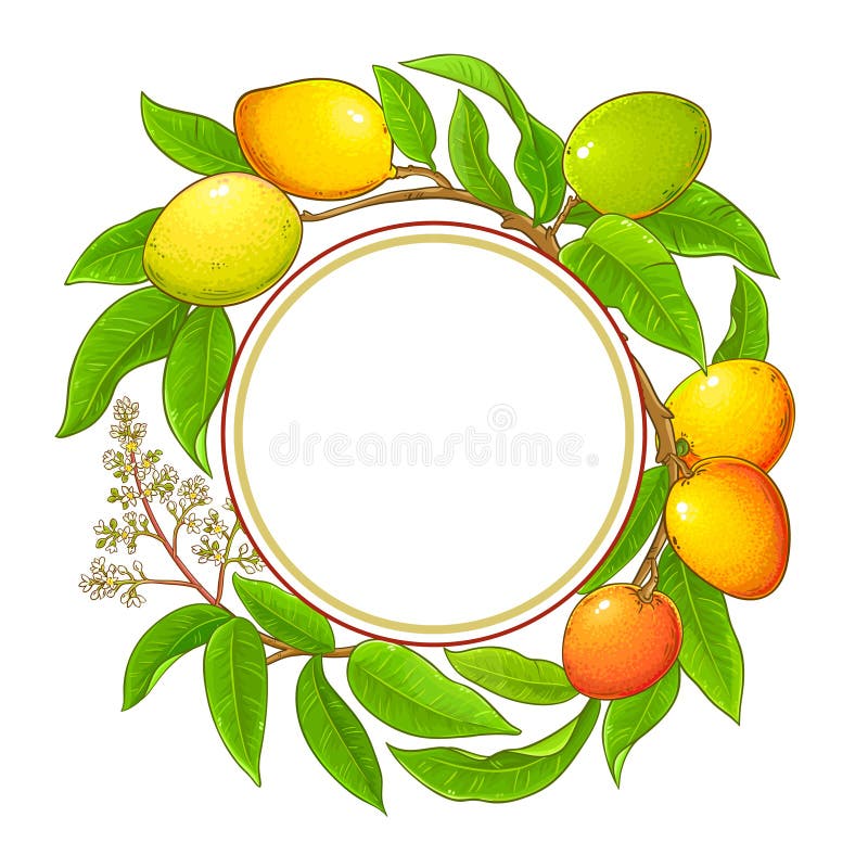 Mango fruit vector stock vector. Illustration of single - 126518525