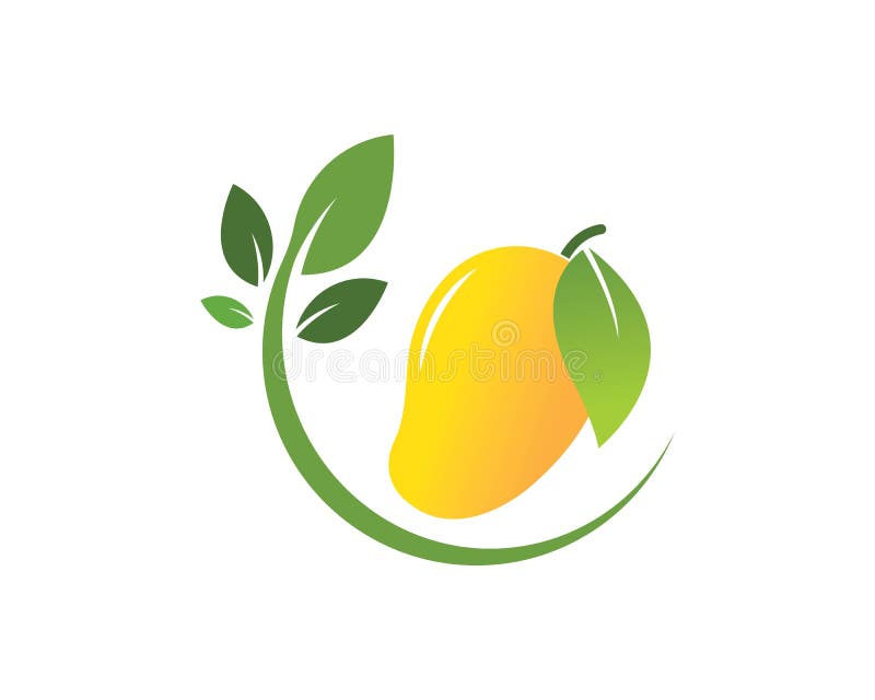 Mango Vector Illustration Logo Stock Vector - Illustration of healthy ...