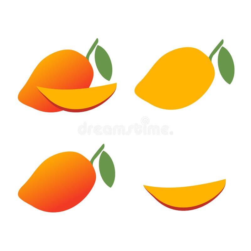 Mango, vector stock vector. Illustration of vector, tasty - 262539679