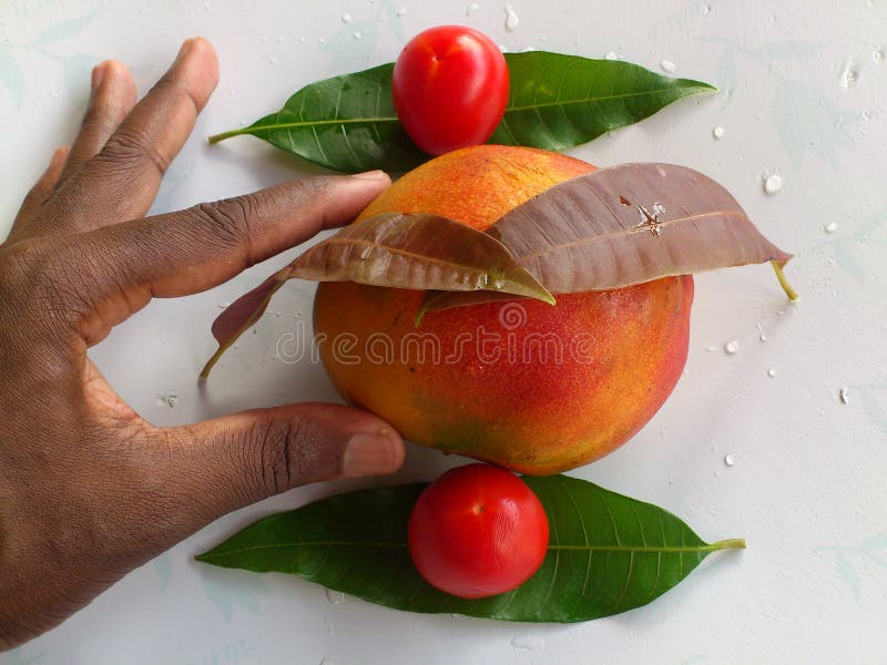 MANGO, VEGETABLES and DELIGHTS Stock Photo - Image of beautiful, white ...