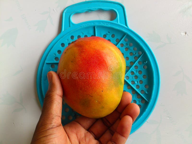 MANGO, VEGETABLES and DELIGHTS Stock Photo - Image of perspective, blue ...