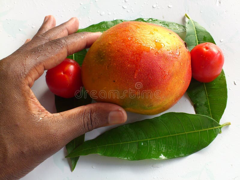 MANGO, VEGETABLES and DELIGHTS Stock Image - Image of vegetables ...