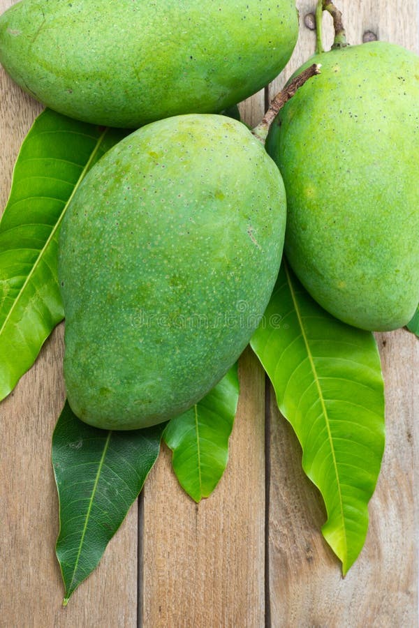 Mango verde fresco foto de archivo. Imagen de tailandia - 31010894