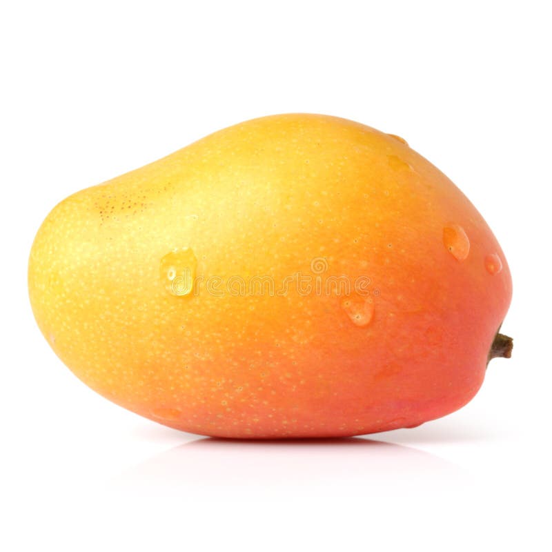 Mango with Water Drops stock photo. Image of water, food - 38898314