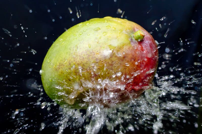 2,207 Mango Splash Stock Photos - Free & Royalty-Free Stock Photos from ...