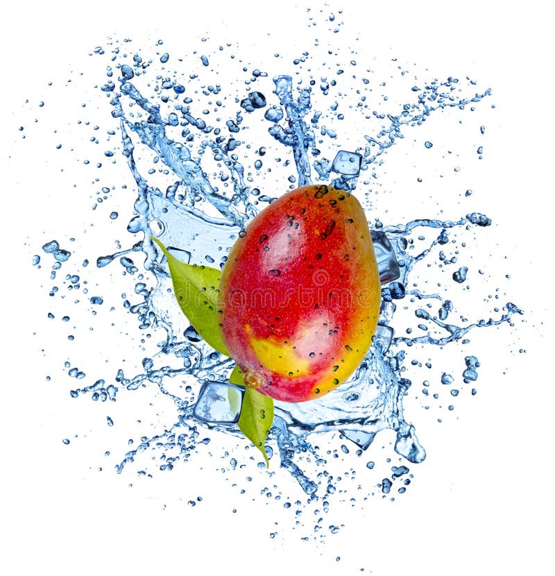 Mango splashing in water stock photo. Image of closeup - 15529744