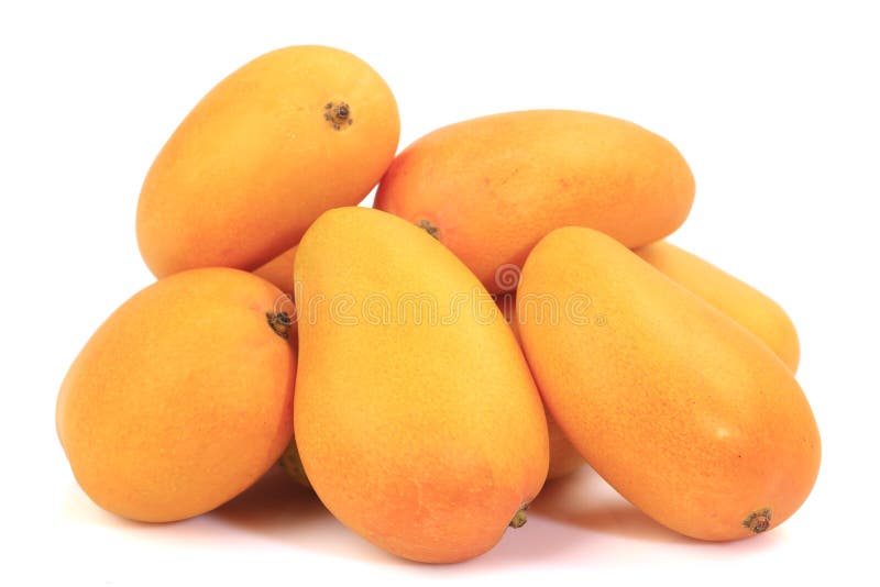 Mango on a White Background Stock Image - Image of serving, healthy ...