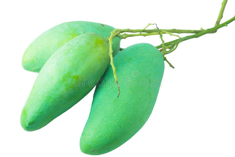 Mango on white isolate stock image. Image of isolated - 39869483