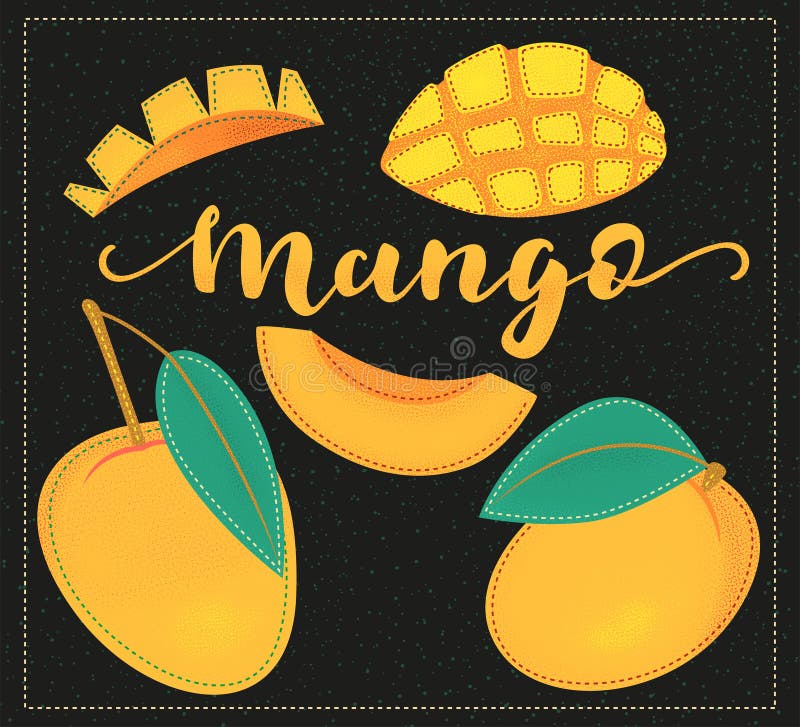 Mango - Whole and Pieces. Vector Stock Illustration. Colored Fruit Set ...