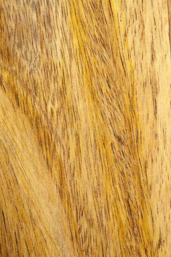Mango wood bacground stock photo. Image of hawaiian - 111131976