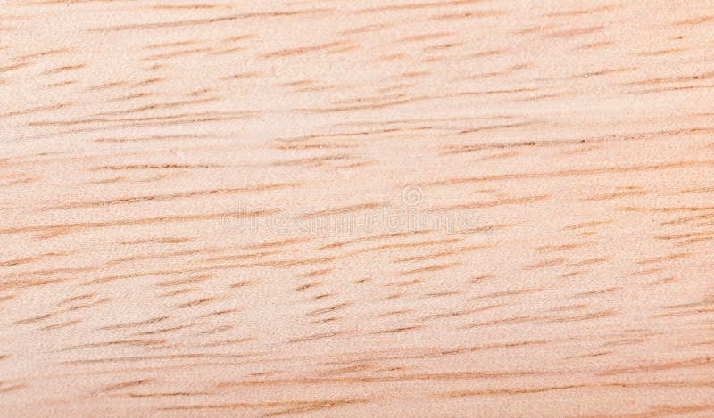 Mango wood texture stock image. Image of material, macro - 20410013