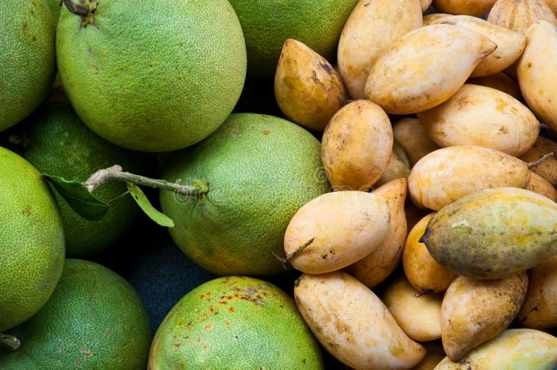 Recientemente pomelos foto de archivo. Imagen de hoja - 44517512