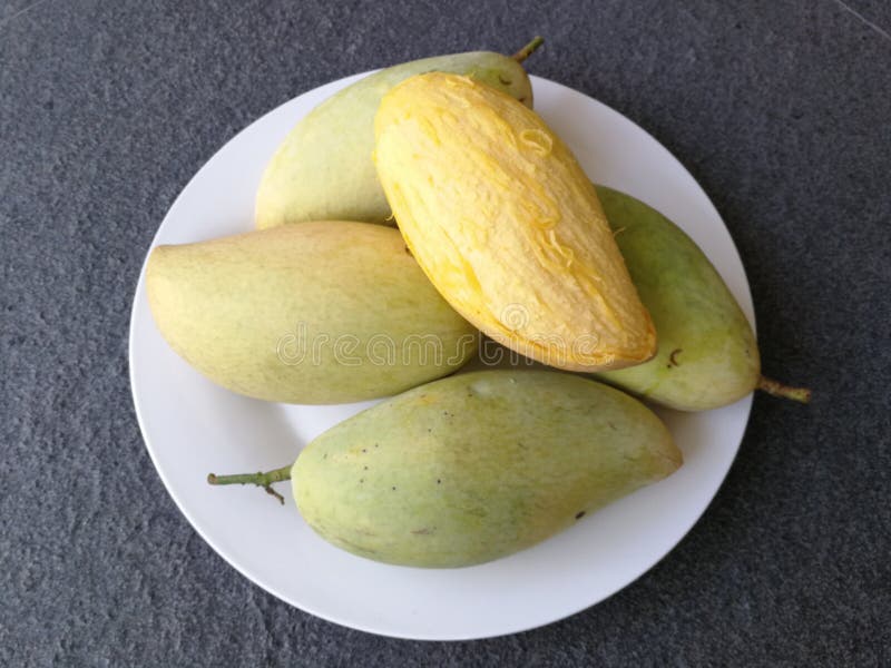 Mango stock image. Image of thaifruit, mango, yello - 146894055