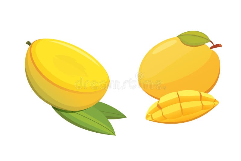 Fresh Mango Juice Label Stock Illustrations – 2,293 Fresh Mango Juice ...