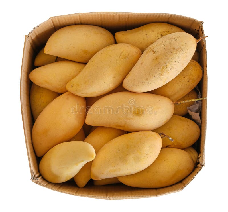 Paper Bag on White Background with Clipping Path Included Stock Photo ...