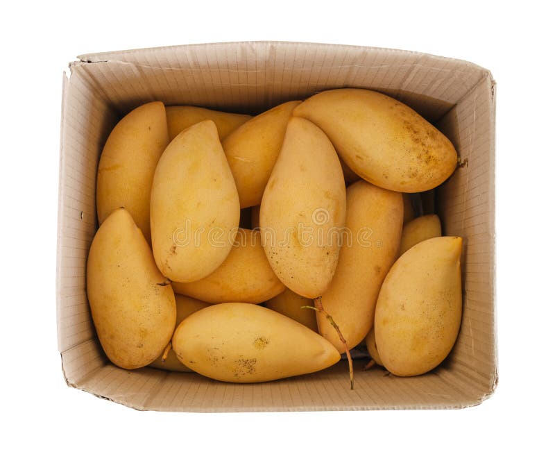 Paper Bag on White Background with Clipping Path Included Stock Photo ...