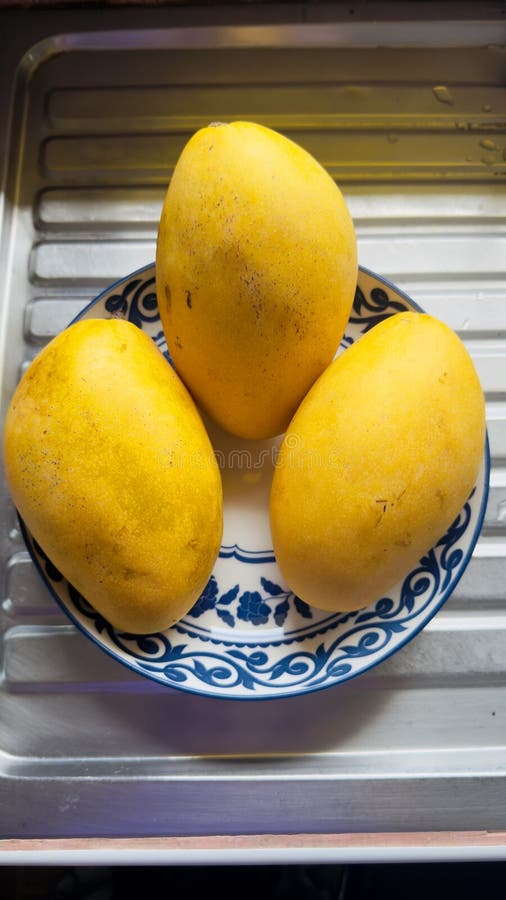 Mango stock image. Image of flower, yellow, dessert - 365269359