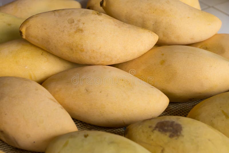 Mango stock image. Image of thai, thailand, fruit, healthy - 33057343