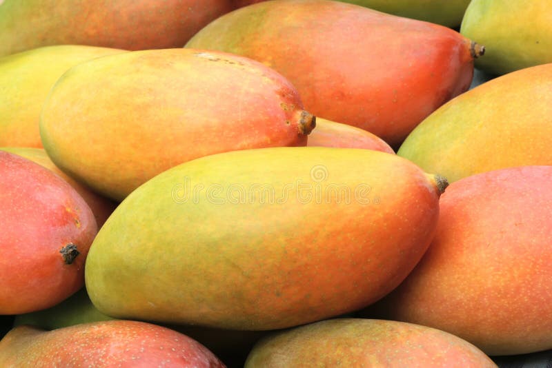 Mangoes stock image. Image of fruits, macro, fruit, fruitage - 20373989
